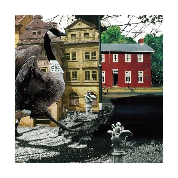 【発売日：2026年05月20日】Ray Chatani Orchestra (レイチャタニオーケストラ れいちゃたにおーけすとら)2026年5月20日 発売