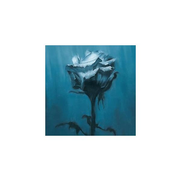 【発売日：2021年05月12日】waterweed (ウォーターウィード うぉーたーうぃーど)2021年5月12日 発売アジア、ヨーロッパでの評価も高いメロディック・ハードコアの雄、waterweed。彼らの魅力の本質である、自然に激情し...