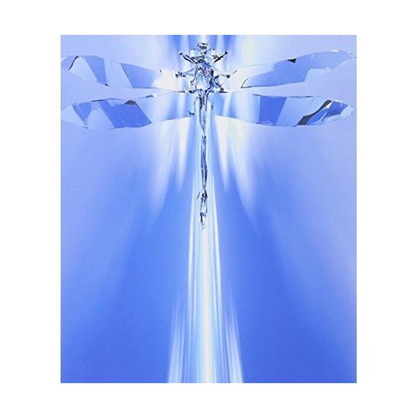 【発売日：1999年06月02日】L'Arc-en-Ciel (ラルクアンシエル らるくあんしえる)1999年6月2日 発売「HEVEN'S DRIVE」に続くシングル。CD:11.Pieces2.fate〜fake fate mix〜