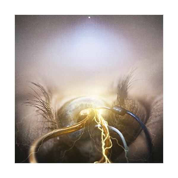 【発売日：2015年02月18日】ジ・アゴニスト (アゴニスト あごにすと)2015年2月18日 発売カナダ・モントリオール出身のメロディック・デス・メタル・バンド、ジ・アゴニストのマーキー移籍第一弾にして、通算4作目のスタジオ・アルバム。...