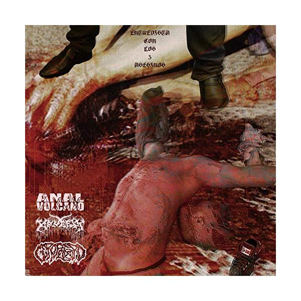 【発売日：2019年04月26日】３　ＷＡＹ　ＳＰＬＩＴ2019年4月26日 発売<div style=”font-size:110%;line-height:140%;padding:10px;”>国産ハードコア・激重の3バン...