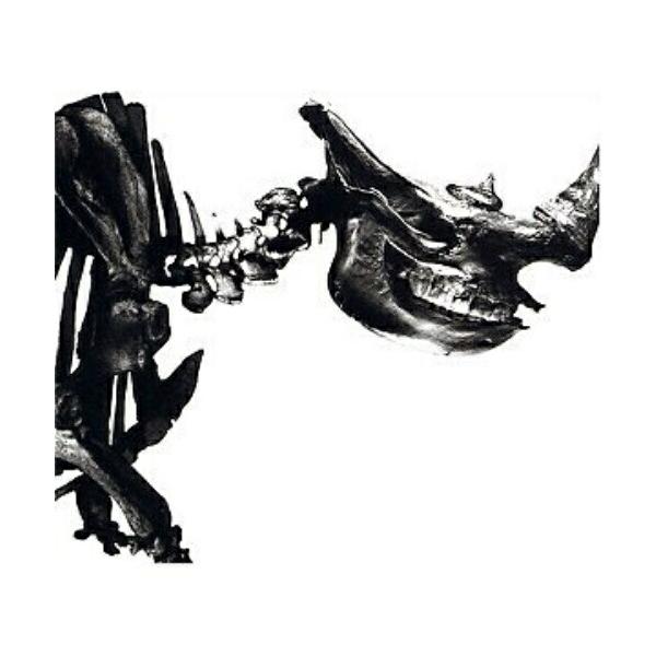 【発売日：2001年07月11日】Mr.Children (ミスターチルドレン ミスチル みすたーちるどれん みすちる)2001年7月11日 発売Mr.Childrenのベスト・アルバム。彼らの1996年から2000年までのナンバーから全1...