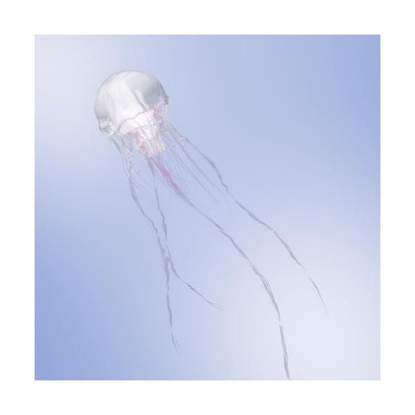 【発売日：2024年03月20日】SCANDAL (スキャンダル すきゃんだる)2024年3月20日 発売2023年8月21日になんばHatchにて開催された結成17周年記念イベントで『同一メンバーによる最長活動ロックバンド(女性)』として...