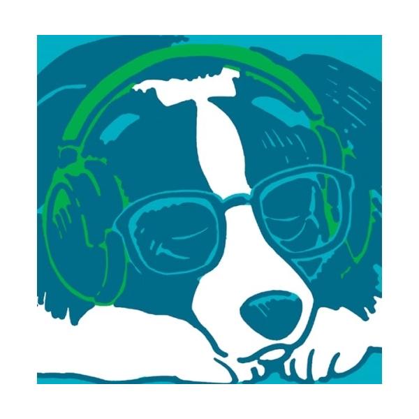 【発売日：2024年01月24日】アニメ (Fire Bomber featuring BASARA NEKKI、新居昭乃、坂本真綾、NITRO、菅井えり、ALI PROJECT、山野裕子)2024年1月24日 発売主題歌ベストコレクション...