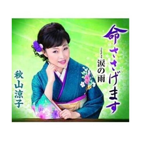 【発売日：2014年05月07日】オムニバス2014年5月7日 発売ストリート系HIPHOPの人気曲〜名曲のみを集めた2枚組コンピレーション・アルバム。CD:11.Party With The HOOD SOUND feat. Kayzab...