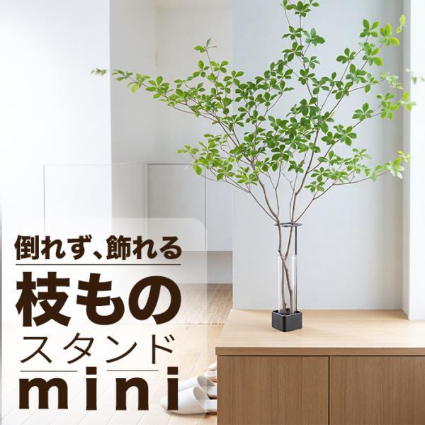 【枝スタンド＆花瓶のセットです】※miniは花瓶だけの販売はしておりません長い枝を支えてくれるグリーンスタンドのminiサイズの登場です。スタンダードサイズでは大きくて置き場所を悩む方はこちら！コンパクトサイズなのにスッキリ倒れにくい！ 長...