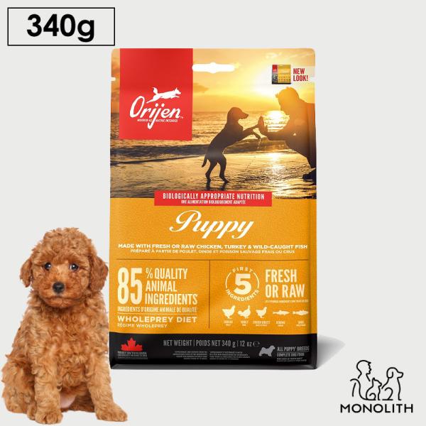 商品名：オリジン　パピー ( Origen Puppy DogFood )＜子犬用 ドッグフード＞種類：犬ドライフード（総合栄養食）内容量：340g粒の大きさ：直径15mmライフステージ：大型犬・子犬用成分値：粗たんぱく質：38.0%、脂肪...