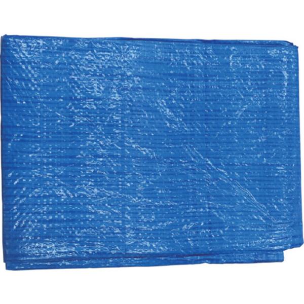 ●短期使用（使い捨て）タイプです。●短期間の養生用。●幅(m)：1.7●長さ(m)：2.5●厚さ(mm)：0.1●ハトメ数(個)：10●ハトメピッチ(cm)：90●耐久期間：約1ヵ月未満●引張強度：縦335N/5cm、横300N/5cm●色...