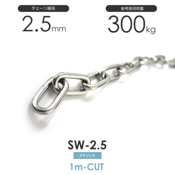 2.5mm 1M切り売りステンレス雑用鎖 ひめじや SW-2.5
