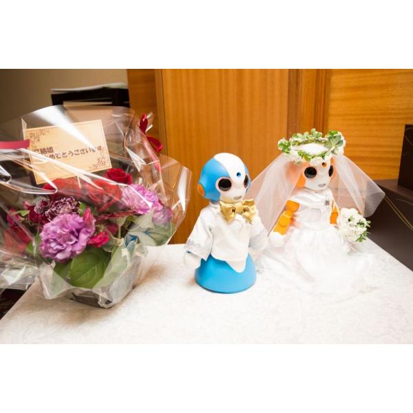 本商品はレンタル商品です。レンタル規約に同意の上、ご利用ください。（１）商品情報 結婚式・披露宴の待合室にご利用可能な小型ロボット「 プレゼンSota２台セット」の２週間レンタル商品です。ウェルカムスペースでの説明、来賓の方への挨拶や案内な...