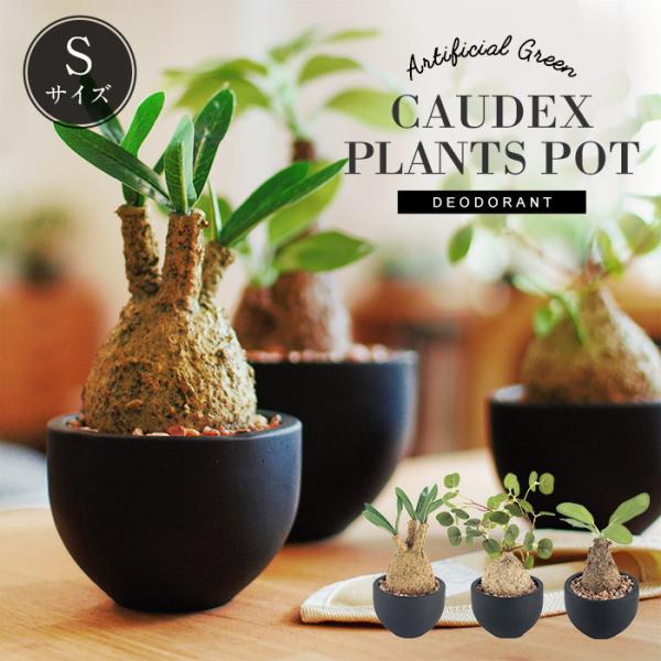 国内でCT触媒加工を施した、インテリアとしても優秀な本物そっくりのフェイクグリーン。CT触媒によって「抗菌」「防汚」「消臭」を行うとっても機能的なインテリア。太陽光などの光エネルギーを全く必要としないのが特徴で、自然にやさしい化学反応により...