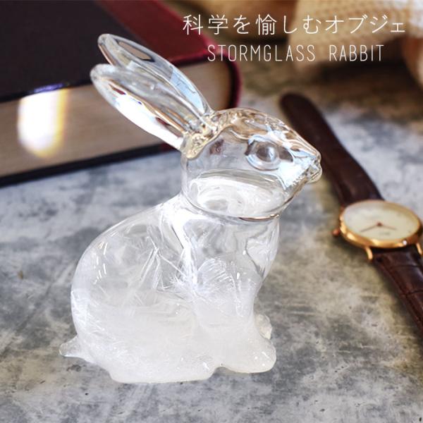 19世紀のヨーロッパで気象観測用として使われていたストームグラス、現代ではおしゃれなインテリアとして親しまれています。うさぎモチーフのストームグラスは、結晶化するとふわふわの毛並みのような白ウサギに変化します。夏場など気温の高い日は涼し気で...