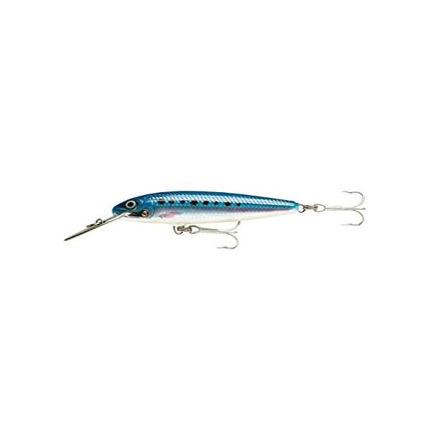 ・主な対応魚種: シーバス・タイプ:シンキング・サイズ:14cm / 重量:36g・カラー:ブルーイワシ BSRD・トローリングルアー