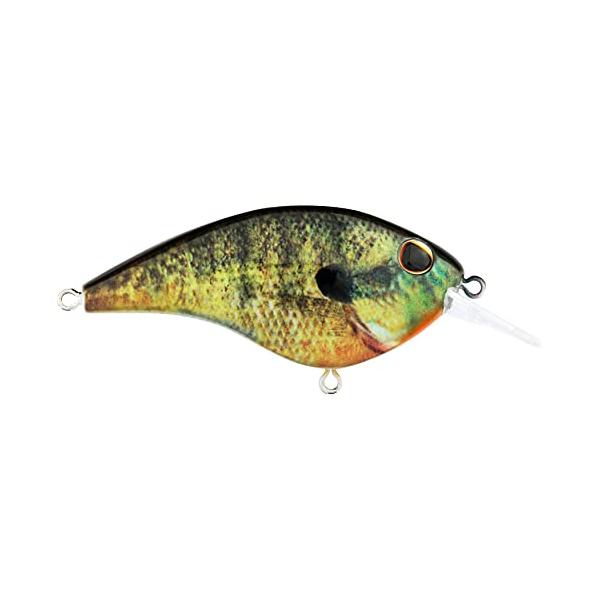 Berkley Frittside フィッシングハードベイト HD ブルーギル 2 1/4インチ - 5 (1/3オンス)