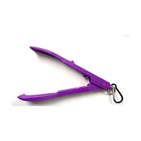 SOLFIESTA(ソルフェスタ) お魚つかみ CATCHMAN(キャッチマン) パープル