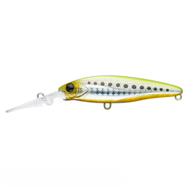 アピア(Apia) マイヨール70SL MAYOL70SL (チャートバックステイン)
