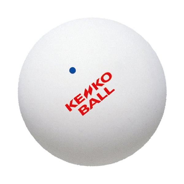 ナガセケンコー(KENKO) ソフトテニスボール 2個入り TSOW-V