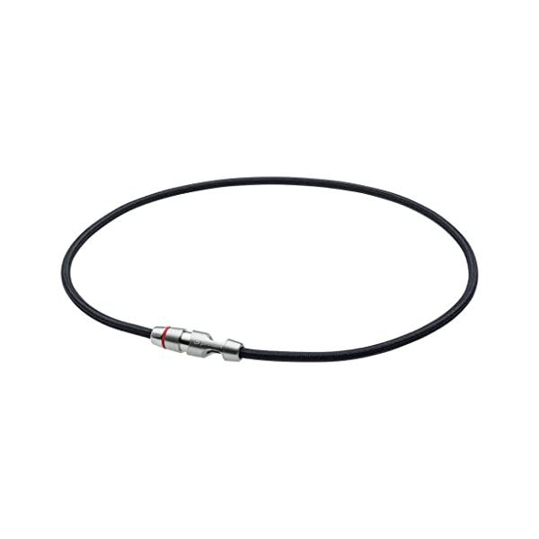 phiten(ファイテン) ネックレス RAKUWAネック リーシュタイプII シルバー 50cm