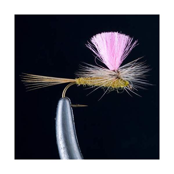 ・タイプ:里川(黄)・フックサイズ:#14