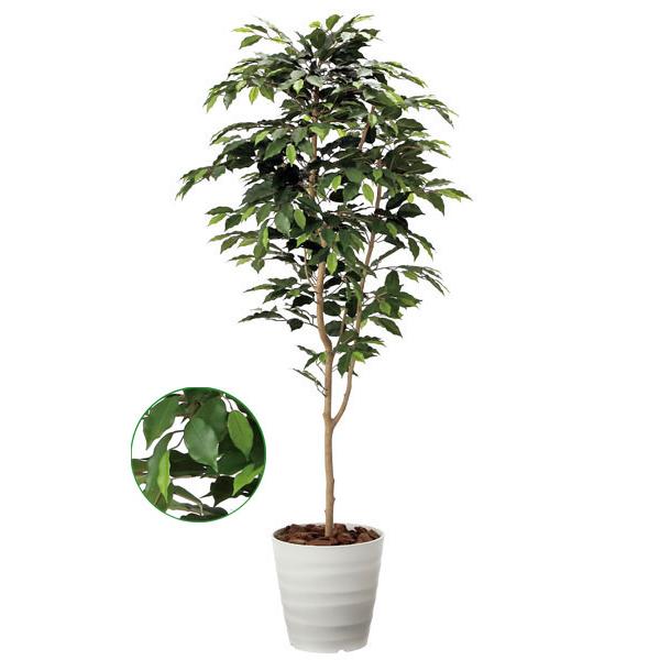 人工観葉植物 大型 フェイクグリーン 光触媒 観葉植物  リアル インテリア　ベンジャミン1.6m 開店・開院・開業 お祝いにも■商品サイズ：幅70cm 奥行65cm 高さ160cm■鉢サイズ：上部直径30.5cm 高さ30.5cm 下部直...