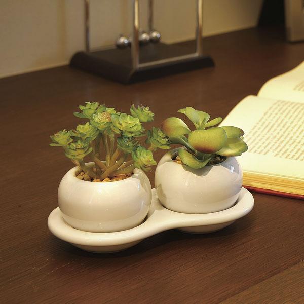 フェイクグリーン 光触媒 人工観葉植物 テーブルタイプ　ダブル多肉ポットＢ■商品サイズ：幅15cm 奥行7cm 高さ10cm、鉢：陶器製■お部屋のアクセントや空間に彩りを添え、空気をキレイにするはたらきで、快適さとやすらぎの空間造りをお手伝...