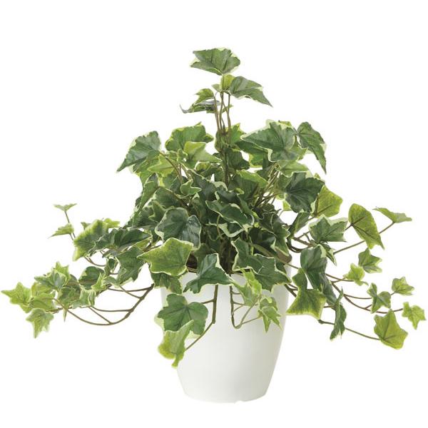 人工観葉植物 フェイクグリーン 光触媒 観葉植物　フレッシュ斑入りアイビー インテリア リアル 造花■商品サイズ：幅45cm 奥行45cm 高さ36cm■鉢サイズ：上部直径14.5cm 高さ15cm 下部直径9cm■お部屋のアクセントや空間...