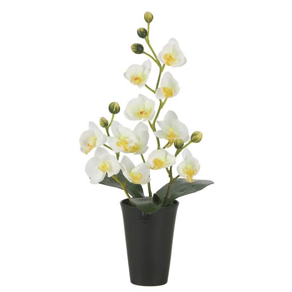 光触媒胡蝶蘭（造花の胡蝶蘭）光の楽園　ミニコチョウラン■商品サイズ：幅20cm 奥行17cm 高さ33cm、花器：陶器製■お部屋のアクセントや空間に彩りを添え、空気をキレイにするはたらきで、快適さとやすらぎの空間造りをお手伝いします。■開店...