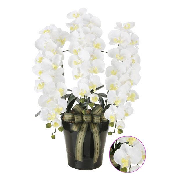 光触媒 胡蝶蘭 造花の胡蝶蘭 お祝いにも 光の楽園　ロイヤル胡蝶蘭Ｗ■商品サイズ：幅55cm 奥行55cm 高さ76cm　花器：陶器■お部屋のアクセントや空間に彩りを添え、空気をキレイにするはたらきで、快適さとやすらぎの空間造りをお手伝いし...