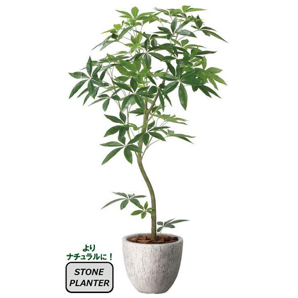 人工観葉植物 大型 フェイクグリーン 光触媒 観葉植物 インテリア　ナチュラルパキラ 1.6m リアル おしゃれ■商品サイズ：幅70cm 奥行60cm 高さ160cm、鉢：ストーンプランター（セメント製）、上部直径 33cm 高さ29cm、...