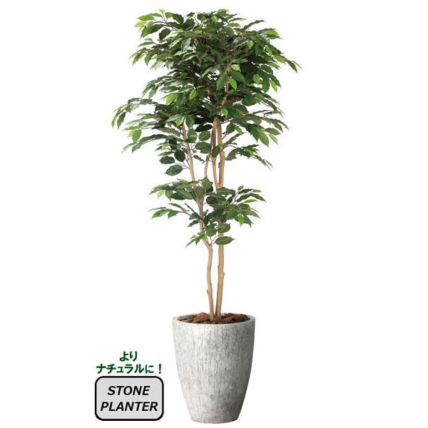 人工観葉植物 大型 フェイクグリーン 光触媒 観葉植物 インテリア　ナチュラルベンジャミン 1.8m リアル おしゃれ■商品サイズ：幅70cm 奥行75cm 高さ180cm、鉢：ストーンプランター（セメント製）、上部直径 36.5cm 高さ...