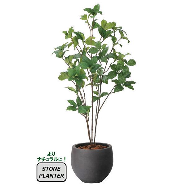 人工観葉植物 フェイクグリーン 光触媒 観葉植物　ナチュラルサラサドウダン 1.0m インテリア リアル おしゃれ■商品サイズ：幅45cm 奥行40cm 高さ100cm、鉢：ストーンプランター(セメント製)、上部直径 25cm 高さ21cm...