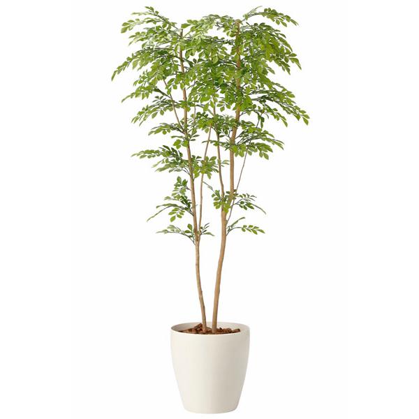 光触媒 人工観葉植物 大型 インテリアグリーン、ライトトネリコ1.8m （フェイクグリーン）■商品サイズ：幅80cm 奥行60cm 高さ180cm■鉢サイズ：上部直径36.9cm 高さ37.5cm 下部直径24cm■お部屋のアクセントや空間...