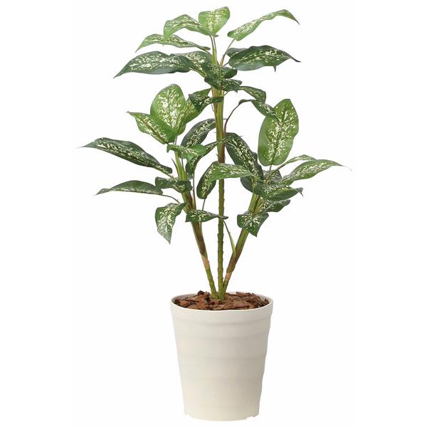 人工観葉植物 フェイクグリーン 光触媒 観葉植物　ディフェンバキア90cm （インテリア 造花）■商品サイズ：幅50cm 奥行50cm 高さ90cm■鉢サイズ：上部直径24cm 高さ26cm■お部屋のアクセントや空間に彩りを添え、空気をキレ...