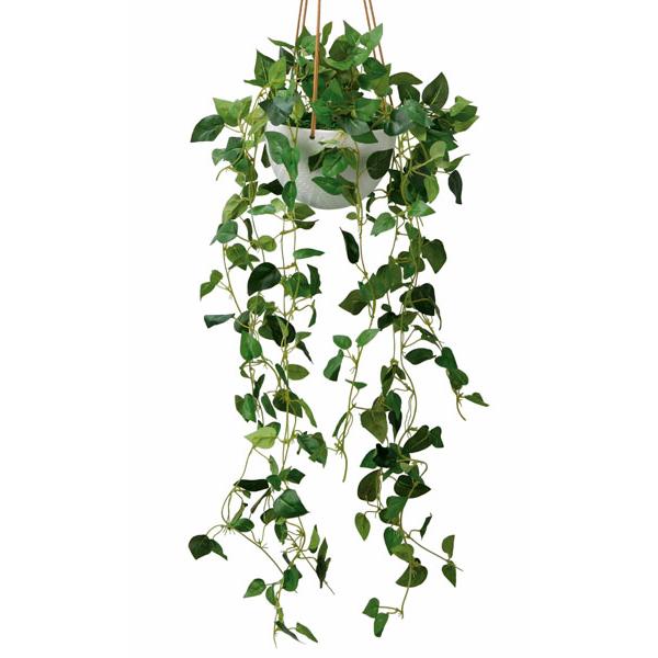 フェイクグリーン 人工観葉植物 光触媒 ハンギング 壁掛け 造花 インテリア　フィロハンギング おしゃれ■商品サイズ：幅30cm 奥行30cm 高さ100cm（ひもの長さを含む）■殺風景な部屋がいやされる おしゃれ空間に！ハンギングタイプの...