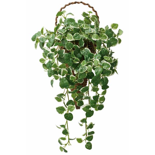 フェイクグリーン 壁掛け 造花 人工観葉植物 インテリア 光触媒 観葉植物　壁掛けプミラ■商品サイズ：幅28cm 奥行18cm 高さ48cm■殺風景な壁がいやされる おしゃれな壁に！ 場所をとらないグリーンタペストリー、壁掛けタイプの光触媒...
