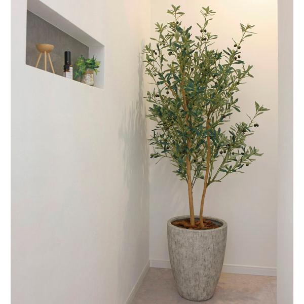 人工観葉植物 大型 フェイクグリーン 光触媒 観葉植物 インテリア　ナチュラルオリーブ 1.8m リアル おしゃれ■商品サイズ：幅75cm 奥行70cm 高さ180cm、鉢：ストーンプランター（セメント製）、上部直径 36.5cm 高さ45...