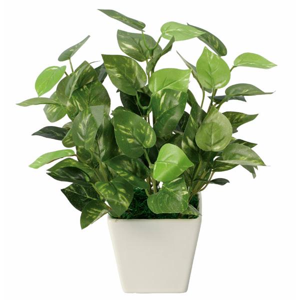 フェイクグリーン 光触媒 人工観葉植物 かわいい おしゃれ　ミニポトス■商品サイズ：幅13cm 奥行20cm 高さ24cm　鉢：陶器製■お部屋のアクセントや空間に彩りを添え、空気をキレイにするはたらきで、快適さとやすらぎの空間造りをお手伝い...