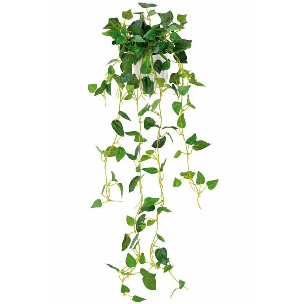 ■この商品は、営業日１３時までのご注文で当日出荷致します。【お届け日指定可能】※「立て札」または「メッセージカード」はサービスいたします。■お届けは出荷日の翌日です。ただし、北海道・九州・中国・四国地方は翌々日、沖縄は３日前後となります。【...