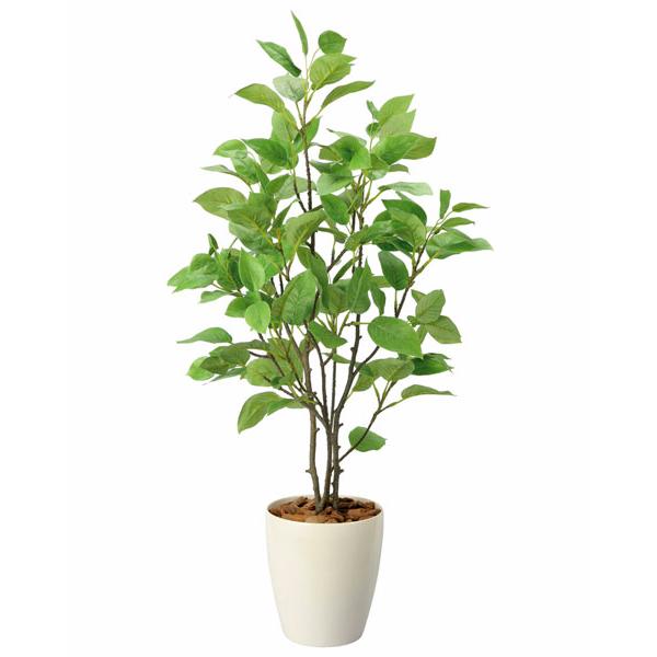 フェイクグリーン 人工観葉植物 光触媒 観葉植物　チェリー90cm インテリア リアル おしゃれ■商品サイズ：幅48cm 奥行40cm 高さ90cm■鉢サイズ：上部直径18.5cm 高さ20cm 下部直径12cm■お部屋のアクセントや空間に...