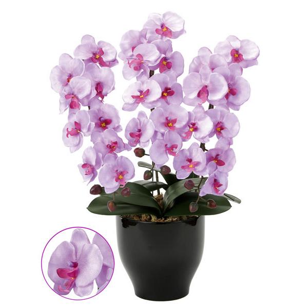 光触媒 胡蝶蘭 造花の胡蝶蘭 お祝いにも 光の楽園　胡蝶蘭セリースＬ■商品サイズ：幅42cm 奥行40cm 高さ66cm　花器：陶器■お部屋のアクセントや空間に彩りを添え、空気をキレイにするはたらきで、快適さとやすらぎの空間造りをお手伝いし...