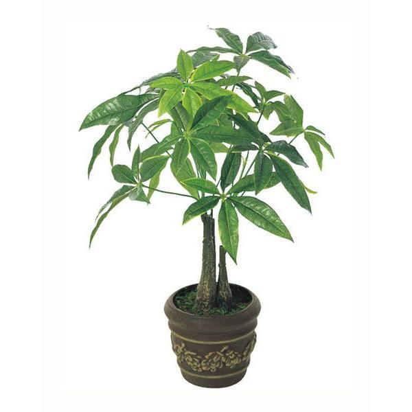 ■この商品は、営業日１３時までのご注文で当日出荷致します。【お届け日指定可能】※「立て札」または「メッセージカード」はサービスいたします。■お届けは出荷日の翌日です。ただし、北海道・九州・中国・四国地方は翌々日、沖縄は３日前後となります。【...