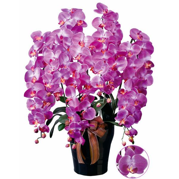 光触媒 胡蝶蘭（造花の胡蝶蘭）お祝いにも 光の楽園　ロイヤル胡蝶蘭５本立Ｌ■商品サイズ：幅60cm 奥行50cm 高さ76cm　花器：陶器■お部屋のアクセントや空間に彩りを添え、空気をキレイにするはたらきで、快適さとやすらぎの空間造りをお手...