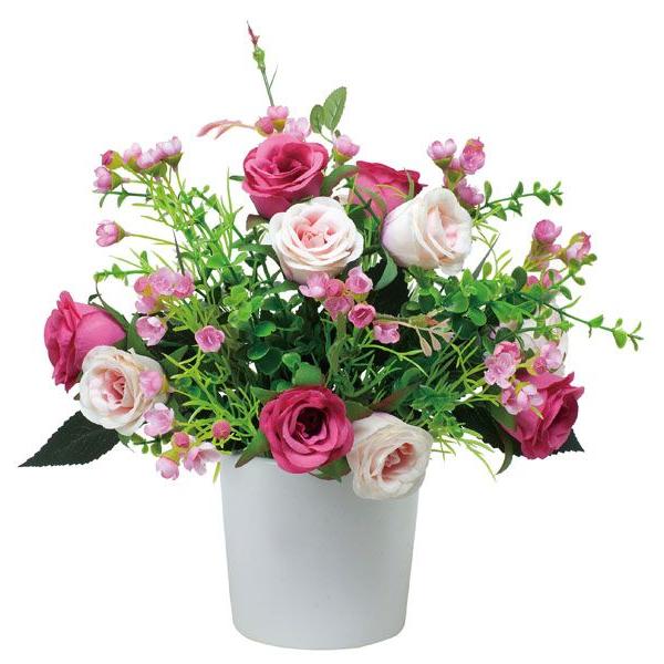 ■この商品は、営業日１３時までのご注文で当日出荷致します。【お届け日指定可能】※「立て札」または「メッセージカード」はサービスいたします。■お届けは出荷日の翌日です。ただし、北海道・九州・中国・四国地方は翌々日、沖縄は３日前後となります。【...