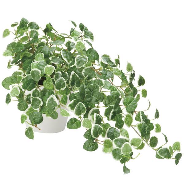 フェイクグリーン 人工観葉植物 光触媒 観葉植物　プミラ　インテリア おしゃれ 造花■商品サイズ：幅40cm 奥行30cm 高さ25cm■お部屋のアクセントや空間に彩りを添え、空気をキレイにするはたらきで、快適さとやすらぎの空間造りをお手伝...