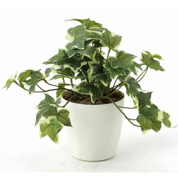 フェイクグリーン 人工観葉植物 光触媒 観葉植物 フレッシュ斑入りアイビーＳ インテリア リアル おしゃれ 造花■商品サイズ：幅30cm 奥行30cm 高さ25cm■お部屋のアクセントや空間に彩りを添え、空気をキレイにするはたらきで、快適さ...