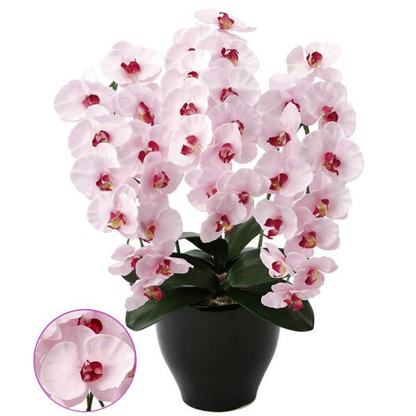 光触媒 胡蝶蘭 造花の胡蝶蘭 光の楽園　プレミアム胡蝶蘭Ｐ　開店 開院 開業 お祝いにも■商品サイズ：幅45cm 奥行40cm 高さ68cm　花器：陶器■お部屋のアクセントや空間に彩りを添え、空気をキレイにするはたらきで、快適さとやすらぎの...