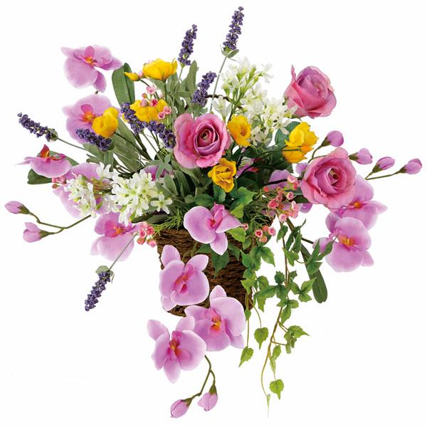 ■この商品は、在庫品がございます。営業日１３時までのご注文で当日出荷致します。【お届け日指定可能】※「立て札」または「メッセージカード」をご希望のお客様にはサービスいたします。■お届けは出荷日の翌日です。ただし、北海道・九州・中国・四国地方...