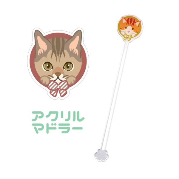 猫のグッズシリーズにマドラーが登場です！透明のアクリルなので、光に当たると反射が綺麗です。お部屋の飾りにいかがでしょうか。おでかけに持って行ったら一緒に写真が撮れるかも？プレゼントにもおすすめです。【製品内容】素　材：アクリルサイズ：200...