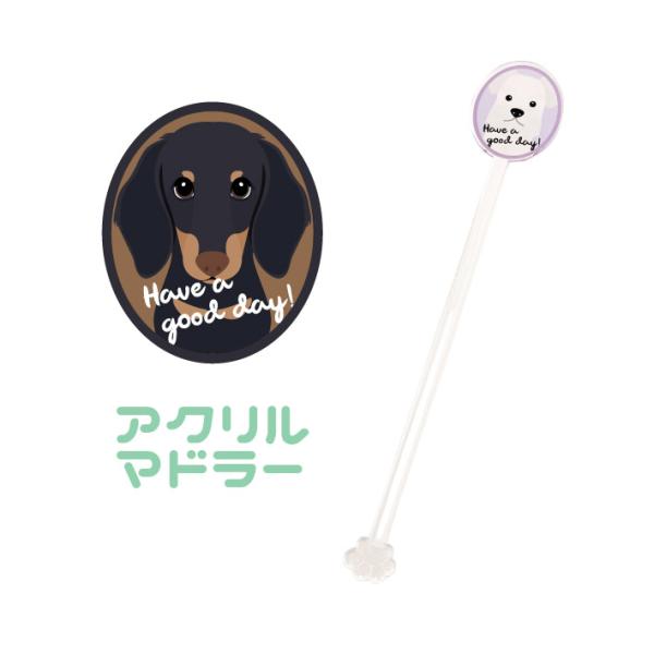 犬のグッズシリーズにマドラーが登場です！透明のアクリルなので、光に当たると反射が綺麗です。お部屋の飾りにいかがでしょうか。おでかけに持って行ったら一緒に写真が撮れるかも？プレゼントにもおすすめです。【製品内容】素　材：アクリルサイズ：200...