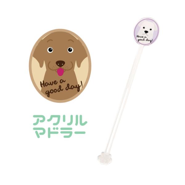 犬のグッズシリーズにマドラーが登場です！透明のアクリルなので、光に当たると反射が綺麗です。お部屋の飾りにいかがでしょうか。おでかけに持って行ったら一緒に写真が撮れるかも？プレゼントにもおすすめです。【製品内容】素　材：アクリルサイズ：200...
